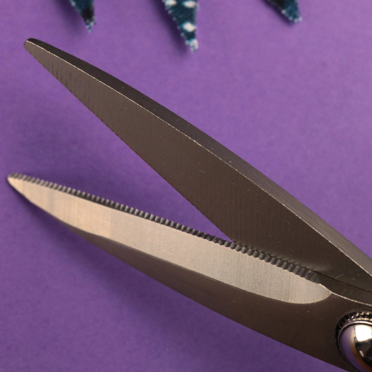 Precision Micro-Serrated Scissors – large and soft handles - Blue - 6 ...