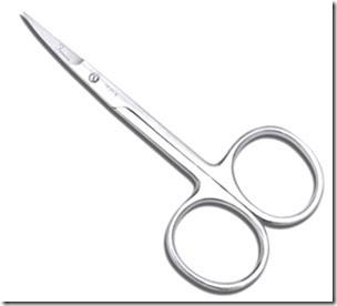 Large Ring Fine Tip (Curved) Scissors, 3.5": German Stainless Steel – N ...